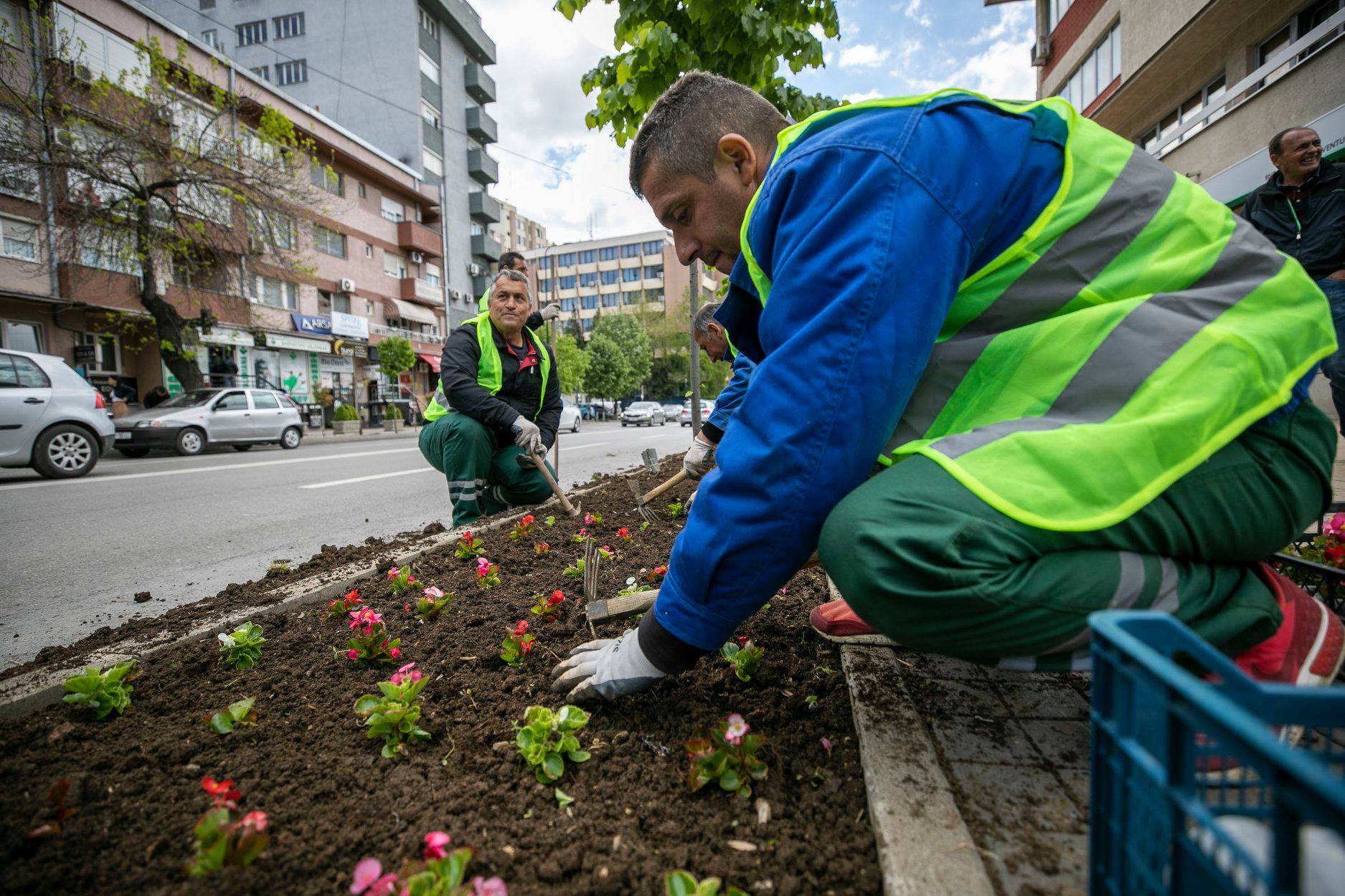 1 milion lule sezonale do të mbillen sivjet në Prishtinë për të ...